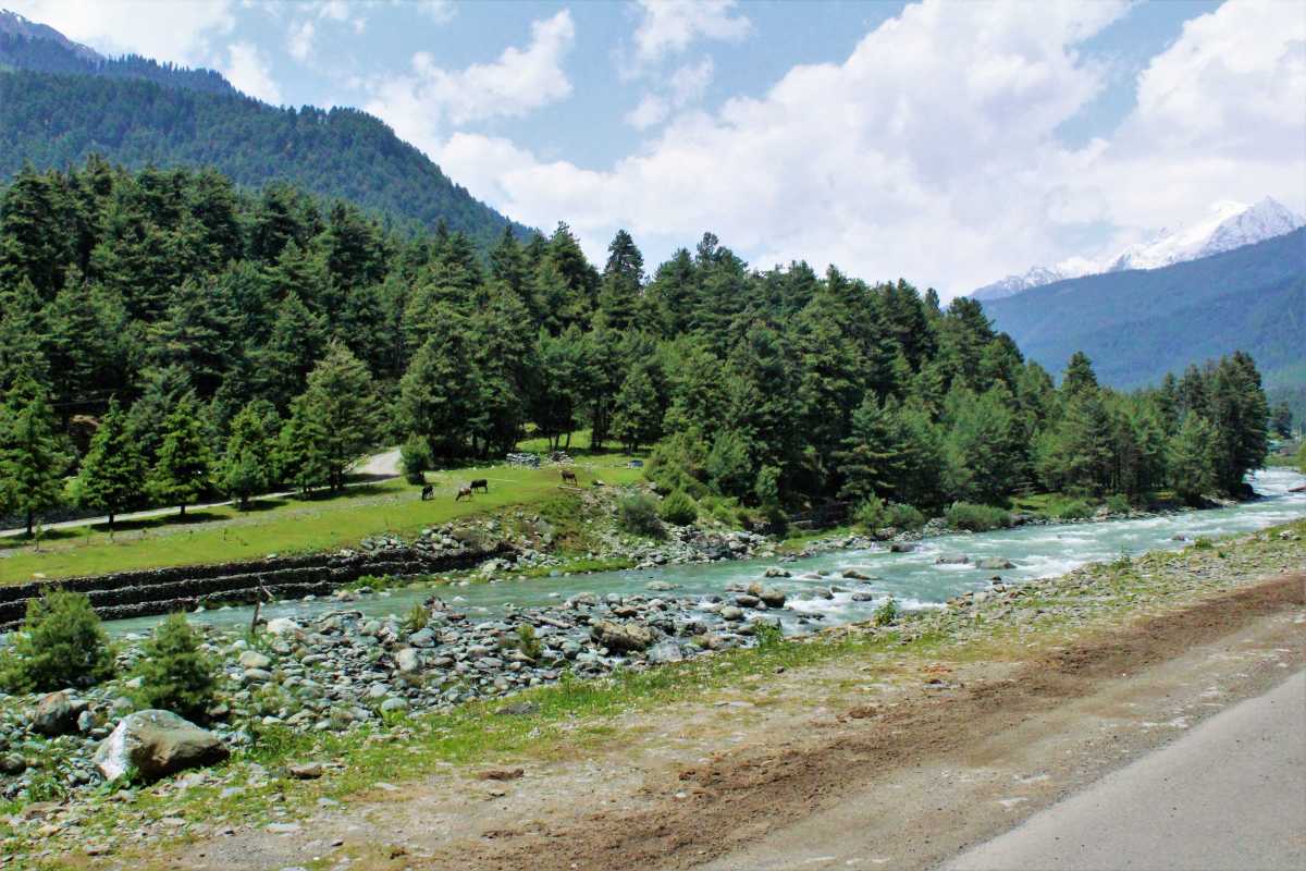 Hitchhiking in India: Pahalgam – 10 Years Around the World